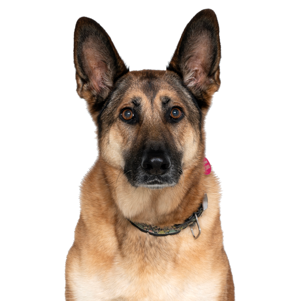 Industry Nine - Hand Made in Asheville, North Carolina